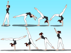 Skill: Back Roll Drills - Rec Gym Pros